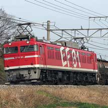 EF81 95，安中貨物運用に充当｜鉄道ニュース｜2009年2月19日掲載｜鉄道ファン・railf.jp