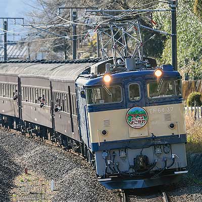 EF64 37が“ELぐんま よこかわ”をけん引｜鉄道ニュース｜2019年3月25日掲載｜鉄道ファン・railf.jp