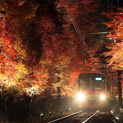 11月3日〜26日 叡電「京の奥座敷・貴船もみじ灯篭」ライトアップ実施｜鉄道イベント｜2023年10月17日掲載｜鉄道ファン・railf.jp