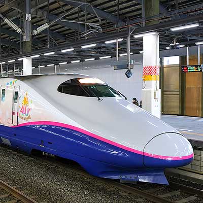 E2系「Magical Dream Shinkansen」による団臨運転｜鉄道ニュース｜2024年3月29日掲載｜鉄道ファン・railf.jp