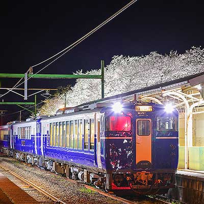 “夜桜Shu＊Kura”運転｜鉄道ニュース｜2024年4月11日掲載｜鉄道ファン・railf.jp