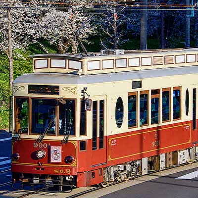 都電荒川線で「都電さくら号」運転｜鉄道ニュース｜2025年4月5日掲載｜鉄道ファン・railf.jp